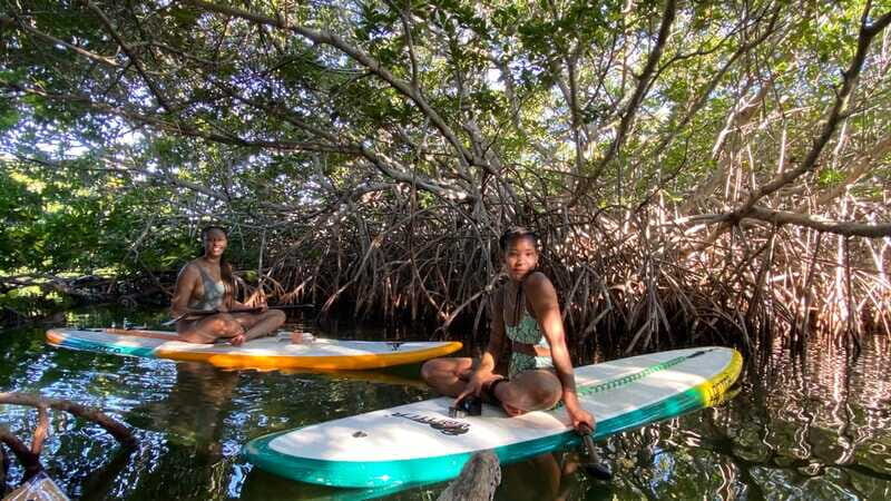 Cancun: Sunrise/Sunset Stand-Up Paddleboarding Tour - The Sum Up