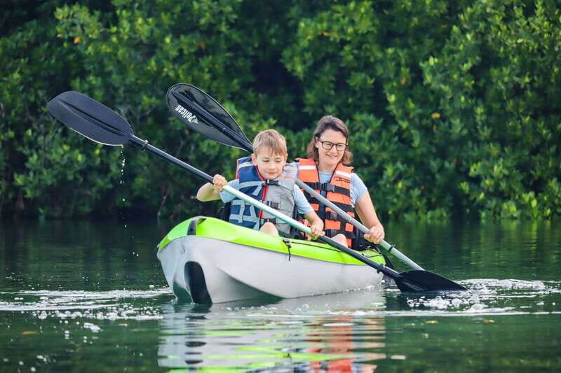 Cancun: Sunset Kayak Experience in the Mangroves - Whats Included and What Not