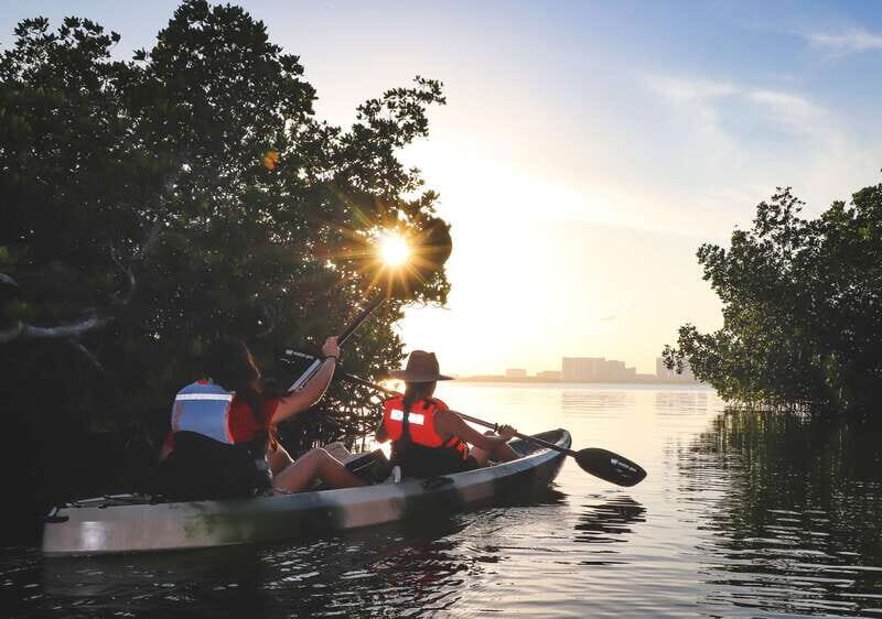 Cancun: Sunset Kayak Experience in the Mangroves - The Experience Through Review Insights