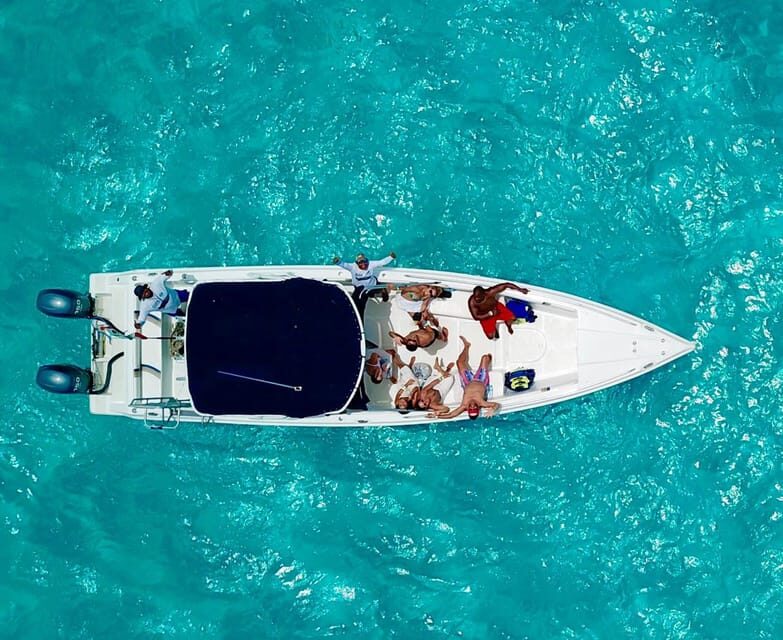 Cancún: Swim with Whale Sharks & Playa Norte Beach - What Makes This Tour Stand Out?
