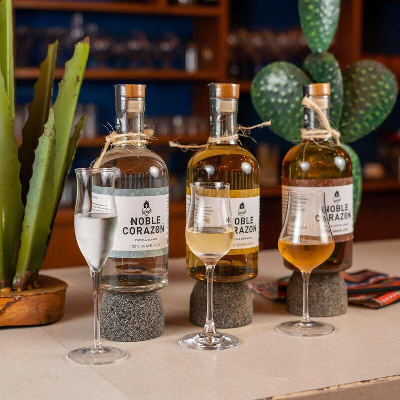 Cancun: Tequila Tasting Experience with Pairing - Who Would Enjoy This Tour?