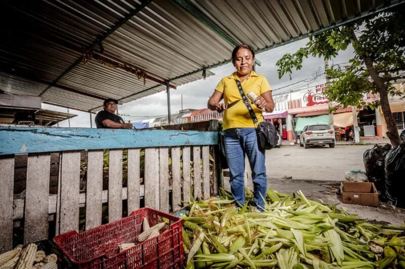 Cancún: Tortilla Trails Food Tour with 15+ Tastings - A Close Look at the Cancún Food Scene