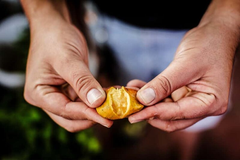 Cancún: Tortilla Trails Food Tour with 15+ Tastings - FAQs