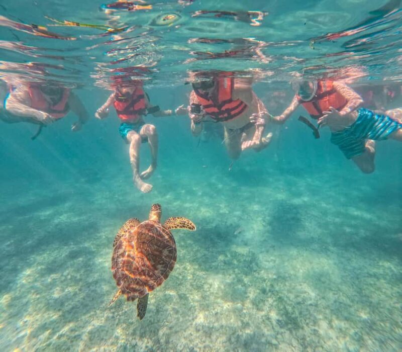 Cancun: Tulum Ruins, Akumal Turtles, Cenote & Caves Tour - Key Points