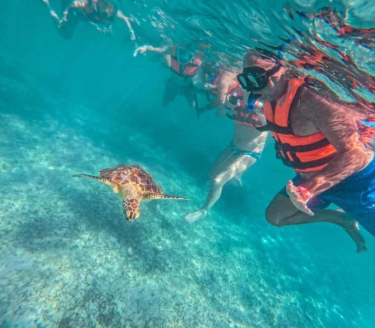 Cancun: Tulum Ruins, Akumal Turtles, Cenote & Caves Tour - What to Expect from the Tour