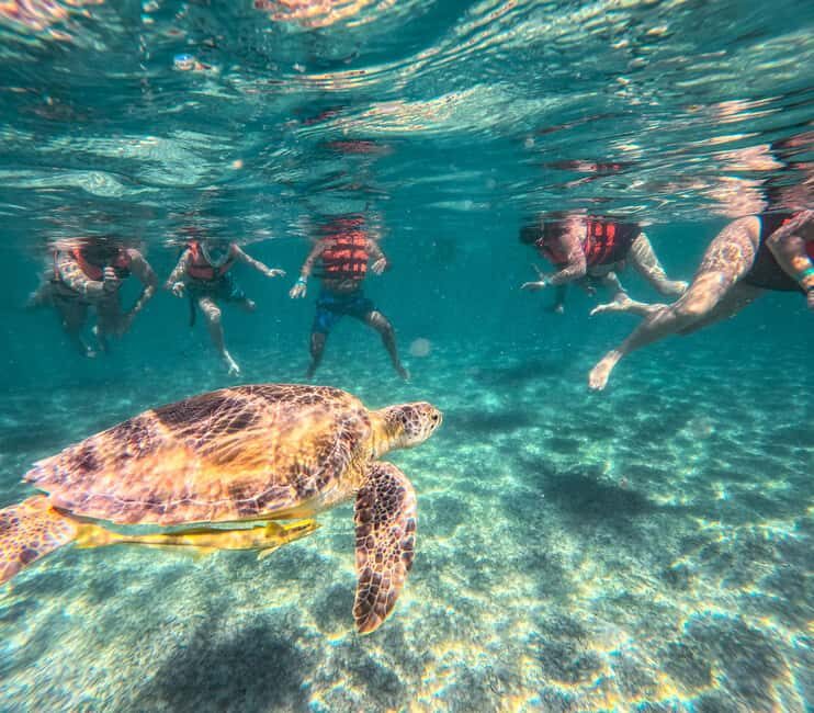 Cancun: Tulum Ruins, Akumal Turtles, Cenote & Caves Tour - The Sum Up