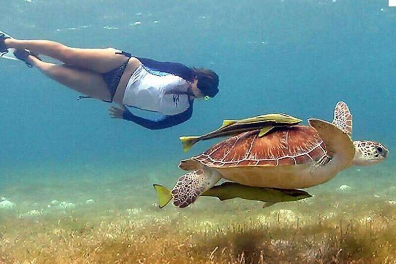 Cancun: Tulum Ruins & Snorkeling with Sea Turtles Tour - Exploring the Tulum Ruins: Walking Through Maya History