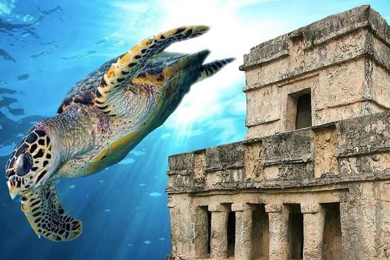 Cancun: Tulum Ruins & Snorkeling with Sea Turtles Tour - What Reviews Say