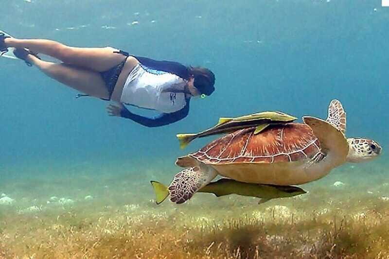 Cancun: Tulum Ruins & Snorkeling with Sea Turtles Tour - FAQ