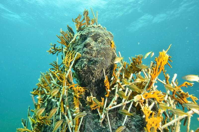Cancún: Underwater Museum & Reef for Certified Scuba Divers - An In-Depth Look at the Tour