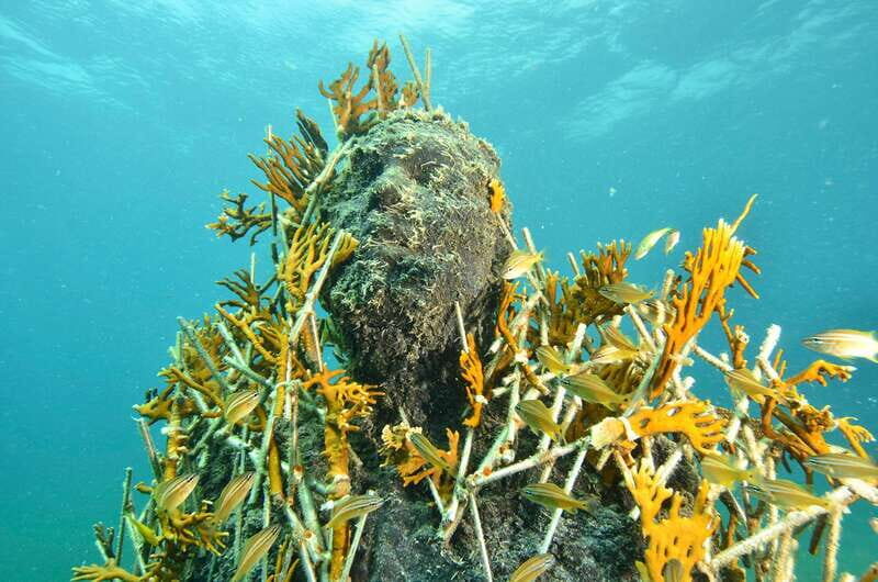 Cancún: Underwater Museum & Reef for Certified Scuba Divers - The Practicalities: What You Need to Know