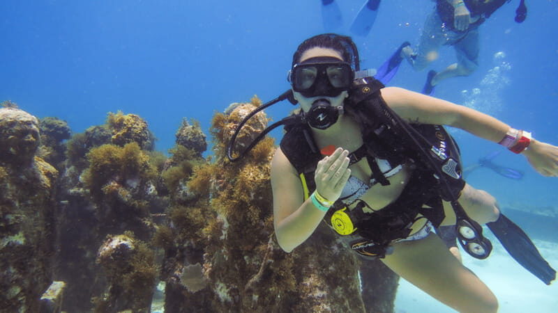 Cancún: Underwater Museum & Reef for Certified Scuba Divers - Authentic Experiences from Past Participants