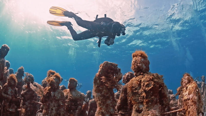 Cancún: Underwater Museum & Reef for Certified Scuba Divers - Who Will Enjoy This Tour?