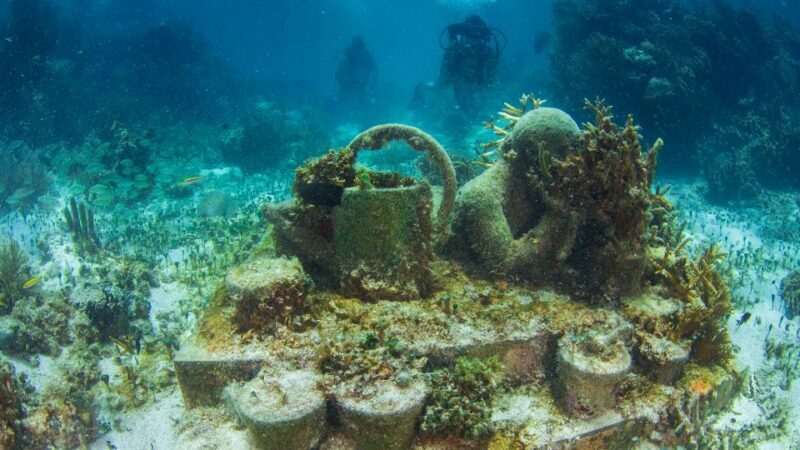 Cancún: Underwater Museum & Reef for Certified Scuba Divers - Frequently Asked Questions