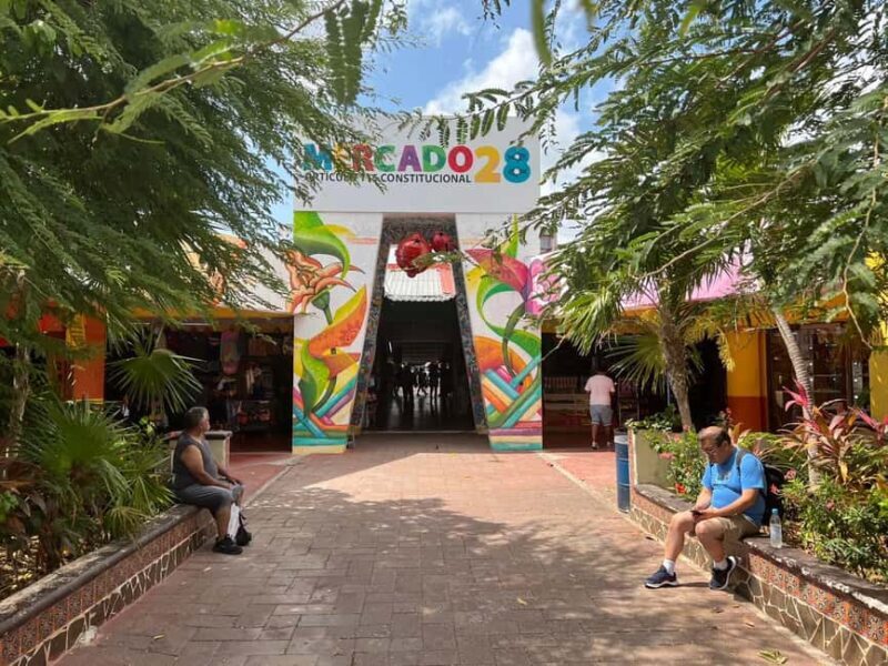 Cancun: Van Tour - City Adventure around the Best Stops - Who This Tour Is Best For