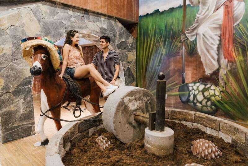 Cancun: Van Tour - City Adventure around the Best Stops - FAQs