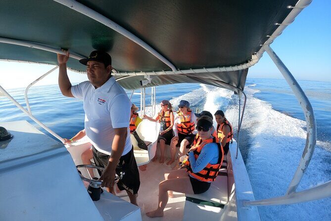 Cancun Whale Shark Experience with Snorkel & Transportation - FAQs