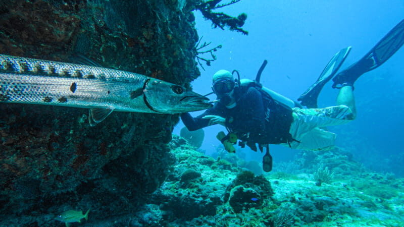 Cancún: Wreck and Reef for Certified Scuba Divers - Key Points