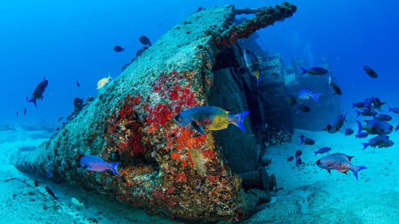 Cancún: Wreck and Reef for Certified Scuba Divers - An In-Depth Look at the Experience
