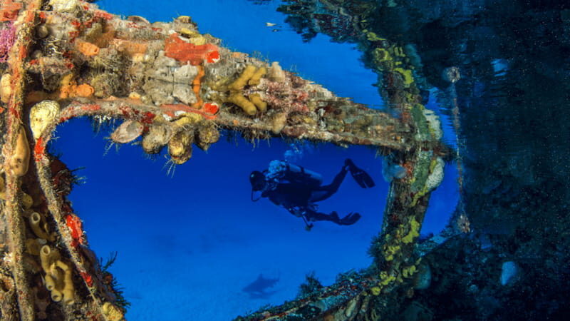Cancún: Wreck and Reef for Certified Scuba Divers - Final Thoughts: Who Will Enjoy This?