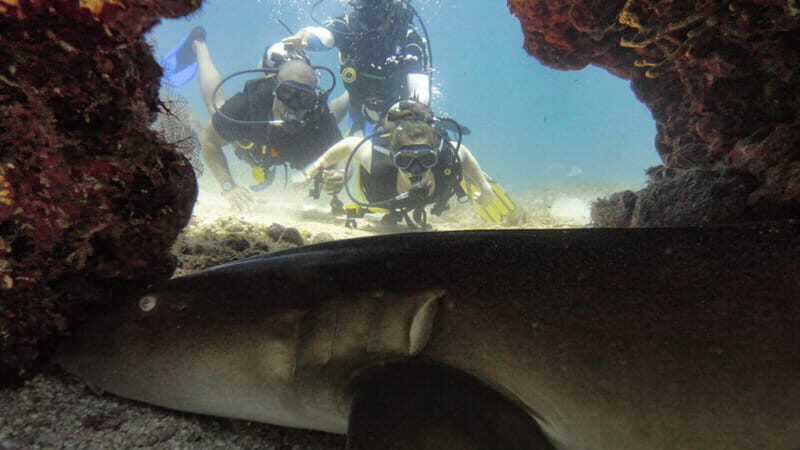 Cancún: Wreck and Reef for Certified Scuba Divers - Frequently Asked Questions