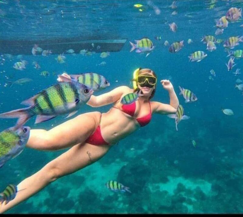 Candidasa : Best of Snorkling "Blue lagoon & Tanjung Jepun" - What You Can Expect from This Bali Snorkeling Tour