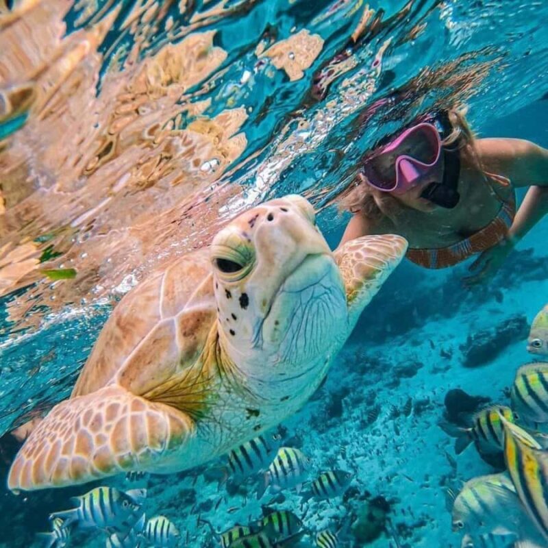 Candidasa : Best of Snorkling "Blue lagoon & Tanjung Jepun" - What Makes This Tour Stand Out