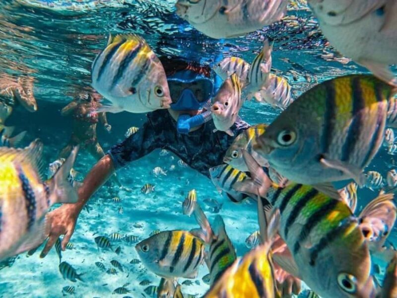 Candidasa : Best of Snorkling "Blue lagoon & Tanjung Jepun" - Final Thoughts