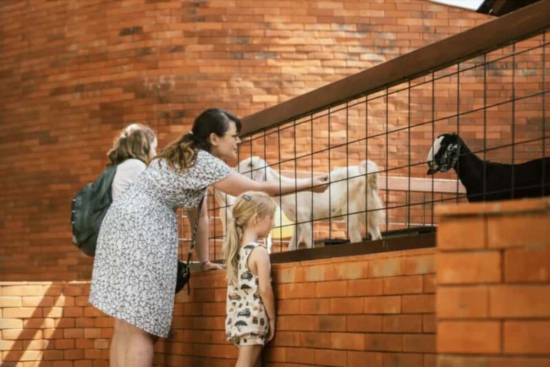 Canggu: Entry Ticket to Mai Main Indoor Playground - An Overview of What to Expect