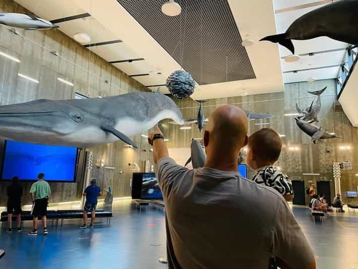 Caniçal : Madeira Whale Museum Entry ticket - Introduction