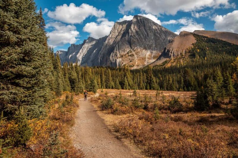 Canmore: 3 Hour Local Explorer Tour and Hike with a Guide - Final Thoughts: Who Will Love This Tour?