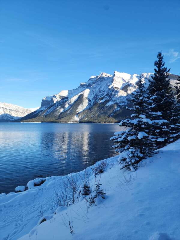 Canmore/Banff: Explore Banff & Wildlife - Setting the Scene: What the Tour Offers
