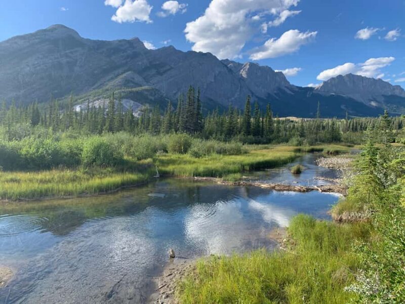 Canmore: Banff National Park Scenic Lakes Tour - An In-Depth Look at the Experience