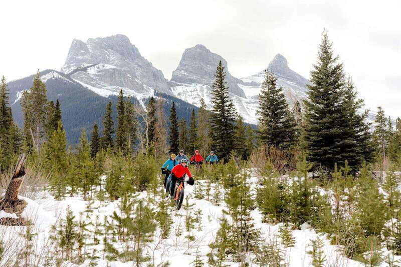 Canmore: Explore Winter Wildlife Tracks - 2hr Nature Walk - What to Expect from Your Canmore Wildlife Tracking Walk