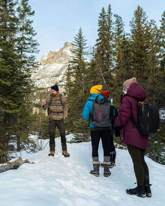 Canmore: Explore Winter Wildlife Tracks - 2hr Nature Walk - Who Will Love This Tour?