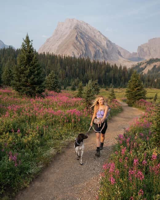 Canmore: Medicinal and Edible Plants, 2-hour Nature Walk - An Authentic Introduction to Canmore’s Plants and Peaks