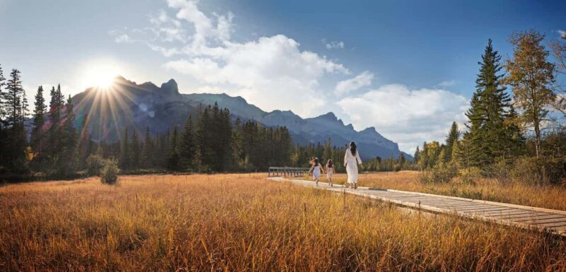 Canmore: Medicinal and Edible Plants, 2-hour Nature Walk - Evaluating the Value