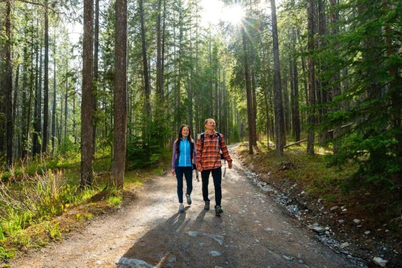 Canmore: Medicinal and Edible Plants, 2-hour Nature Walk - Frequently Asked Questions (FAQs)