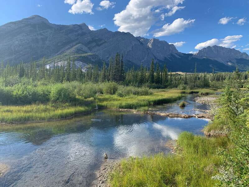 Canmore: PRIVATE SAFARI Drive to BANFF Park & Nature Walk - Starting Point: Convenience and Comfort