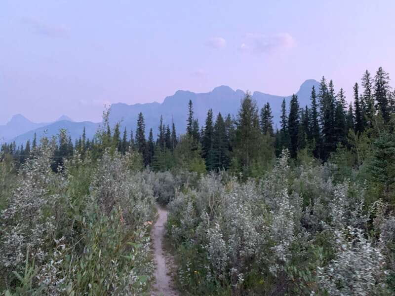 Canmore: PRIVATE SAFARI Drive to BANFF Park & Nature Walk - The Practicalities: Duration, Cost, and Value