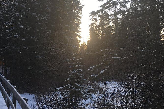 Canmore: Stargazing and Nature by Nightfall Walking Tour - 2hr - Why This Tour Stands Out