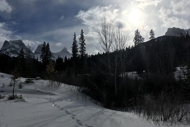 Canmore: Stargazing and Nature by Nightfall Walking Tour - 2hr - The Sum Up