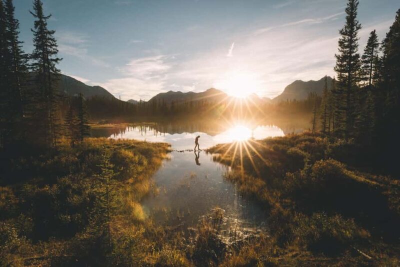Canmore: Sunset Tour and Evening Nature Walking - Who Will Love This Tour?