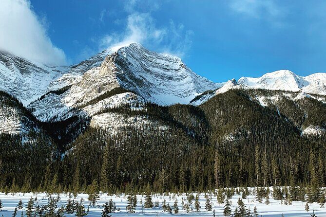 Canmore: Wilderness & Wildlife Tour - 2hr Walk - Practical Details and Value