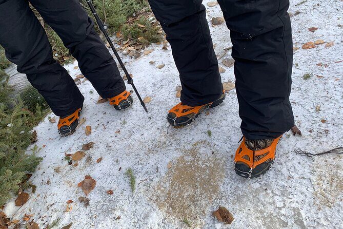 Canmore: Wilderness & Wildlife Tour - 2hr Walk - What Travelers Are Saying