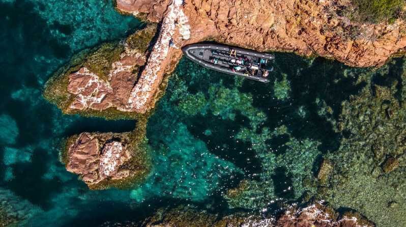 Cannes: 2.5-Hour Esterel Calanques Boat Excursion - Key Points