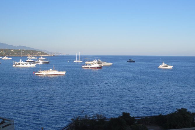 Cannes, Antibes & St Paul de Vence Half Day Shared Tour from Nice - A Practical Guide to the Tour: What You Can Expect