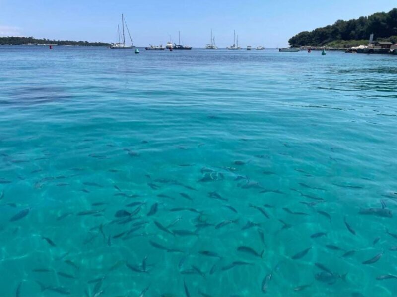 Cannes: Boat trip without a license to the Lerins Islands - FAQ