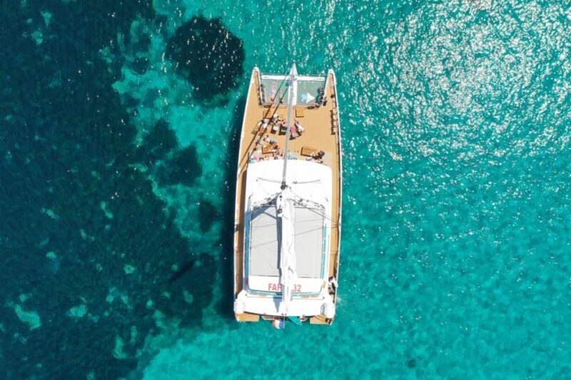 Cannes: Half-Day Catamaran Cruise - Who Should Consider This Tour?