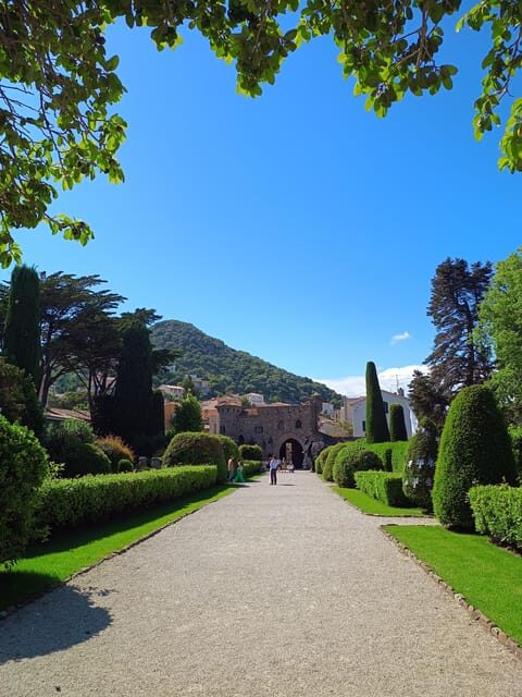 Cannes : Highlights guided Tour of the French Riviera - A Thorough Look at the French Riviera Experience